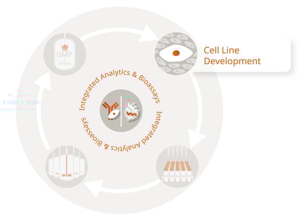 Cell Line Development Services for Proteins & Antibodies | ProBioGen AG